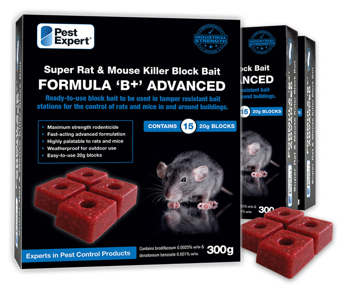 Rat Poison Bait Blocks (900g) from Pest Expert (Professional Strength ...